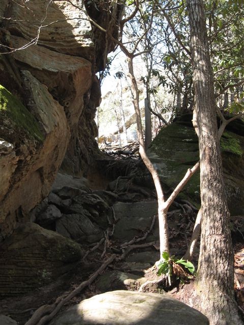 Indian Staircase and Indian Arch Loop (3.5 miles- unmarked) | to Red ...