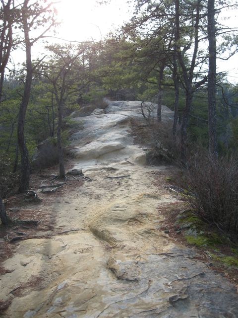 Sky Bridge Loop | to Red River Gorge.com