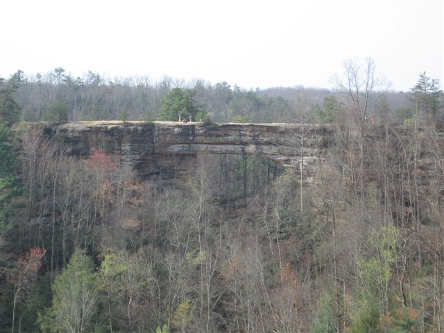 Lover’s Leap via Laurel Ridge Trail (1.5 miles) | to Red River Gorge.com